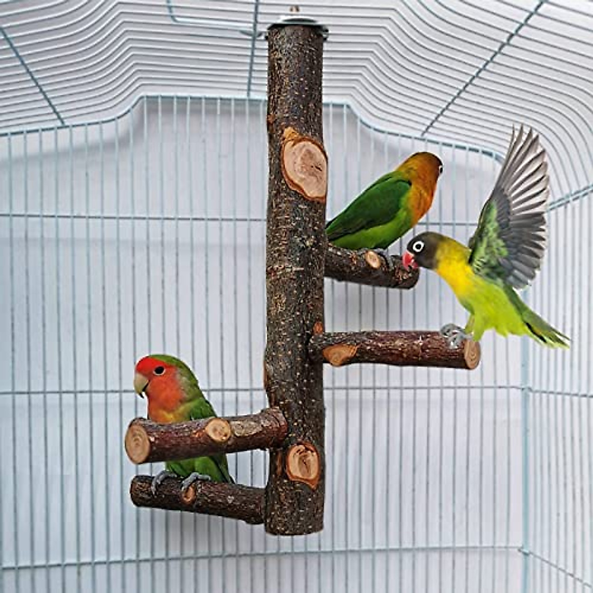 QeeHeng Bird Stand Perch,Natural Wood Parrot Perch Bird Cage,Bird Cage Perches for Parrots,Small Parakeets Cockatiels, Macaws, Parrots, Love Birds, Finches