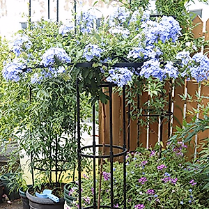 Vertical Metal Garden Trellis, Trellis for Climbing Plants, Flower Trellis, Umbrella Trellis, Garden Trellis Climbing Plants Support for Vines Tomatoes Peas Other Live Plants Support