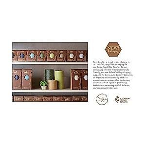 Root Candles 336147 Unscented Timberline Pillar Candle, 6-Inch, White