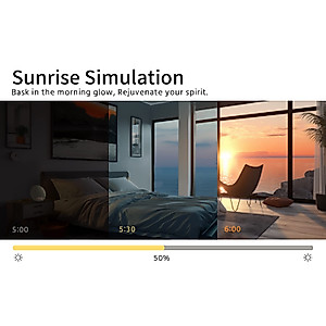 MOMILLA Sunrise Alarm Clock, Wake-up Light Compatible with Alexa, Dual Alarms with FM Radio, Snooze Function for Heavy Sleepers, Adults&Kids- Alarm Clock Standard Version