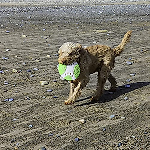 Rosewood Throw-n-Go Dental Saucer Dog Toy, 23 cm/9-Inch