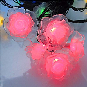 Solar String Lights 20/30/50/100LED Solar Rose String Lights Starry FairyWaterproof for Christmas Outdoor Indoor Gardens Homes Wedding Holiday Party (Emitting Color : White)