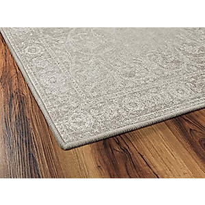 Brumlow MILLS Georgiana Traditional Distressed Floral Print Pattern Home Indoor Area Rug for Living Room Decor, Dining, Kitchen Rug, or Bedroom Mat, 30" x 46", Neutral