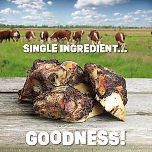 PUPDAWGS Single Ingredient Dog Bones - Made in USA - Beef Femur Bones - Natural Dog Bones for Aggressive Chewers - from USDA Inspected Beef - Hickory Smoked - Individually Wrapped (4 Piece Pack)