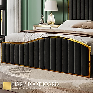 AMERLIFE Queen Size Bed Frame, 61.4" High Headboard Platform Bed Velvet Upholstered with Gold Trim & Footboard/Wooden Slats/No Box Spring Required/Black