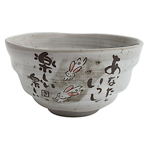 Mino ware Japanese Pottery Rice Bowl Running Rabbits Gray Sanaegama made in Japan (Japan Import) KSC002