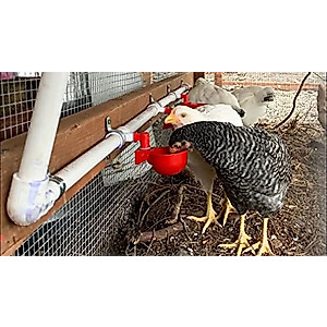 letsFix Chicken Water Cups for PVC with Tee, Automatic Waterer Kit for Poultry, DIY PVC Water Feeder for Chicken/Duck/Quail/Turkey, Chicken Waterer [8 Pack]