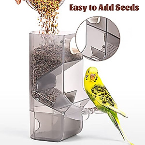 Hamiledyi Parrot Automatic Feeder No Mess Bird Feeder for Cage Parakeet Seed Food Container Plastic Lovebirds Cage Accessories for Small Conures Budgies Canary Finches(Blue)