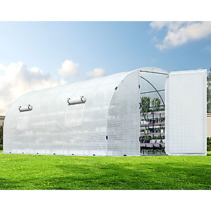 Papababe 20x10x7.5 FT Extra high Large Walk-in Greenhouse for Outdoors ...