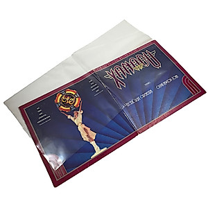 Gatefold Vinyl Records Outer Sleeves – 12 inch Double Sided Protective LP Album Covers 3 Mil Poly Clear Plastic Vinyl Record Storage Jackets - 25 Pack
