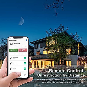 IBRIGHT Smart Light Switch, Works with Alexa & Google Home (3-Way), Remote Control & Timer Function, Neutral Wire Needed, No Hub Required, Single-Pole, ETL & FCC Certified (2.4Ghz Wi-Fi Only)