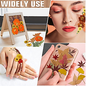 Pressed Flowers Bulk Dried Flower for Resin Mold, Dried Flower Leave Natural with Tweezer for Crafts Christmas DIY Gift Scrapbooking(Graceful Style)