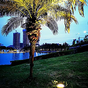 Cheopha PAR36 LED 10W Landscape Bulb Spotlight 2700K Warm White 50W 60W Halogen Equivalent IP67 Waterproof Low Voltage for Garden Outdoor Landscape Lighting RV Off-Road Vehicles Tractors 12V AC/DC