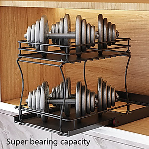 Pull Out Spice Rack Organizer for Cabinet,Under Sink Storage Organizer ,2 Tier Slide Out Storage Shelf for Kitchen Pantry Closet (L, Black)