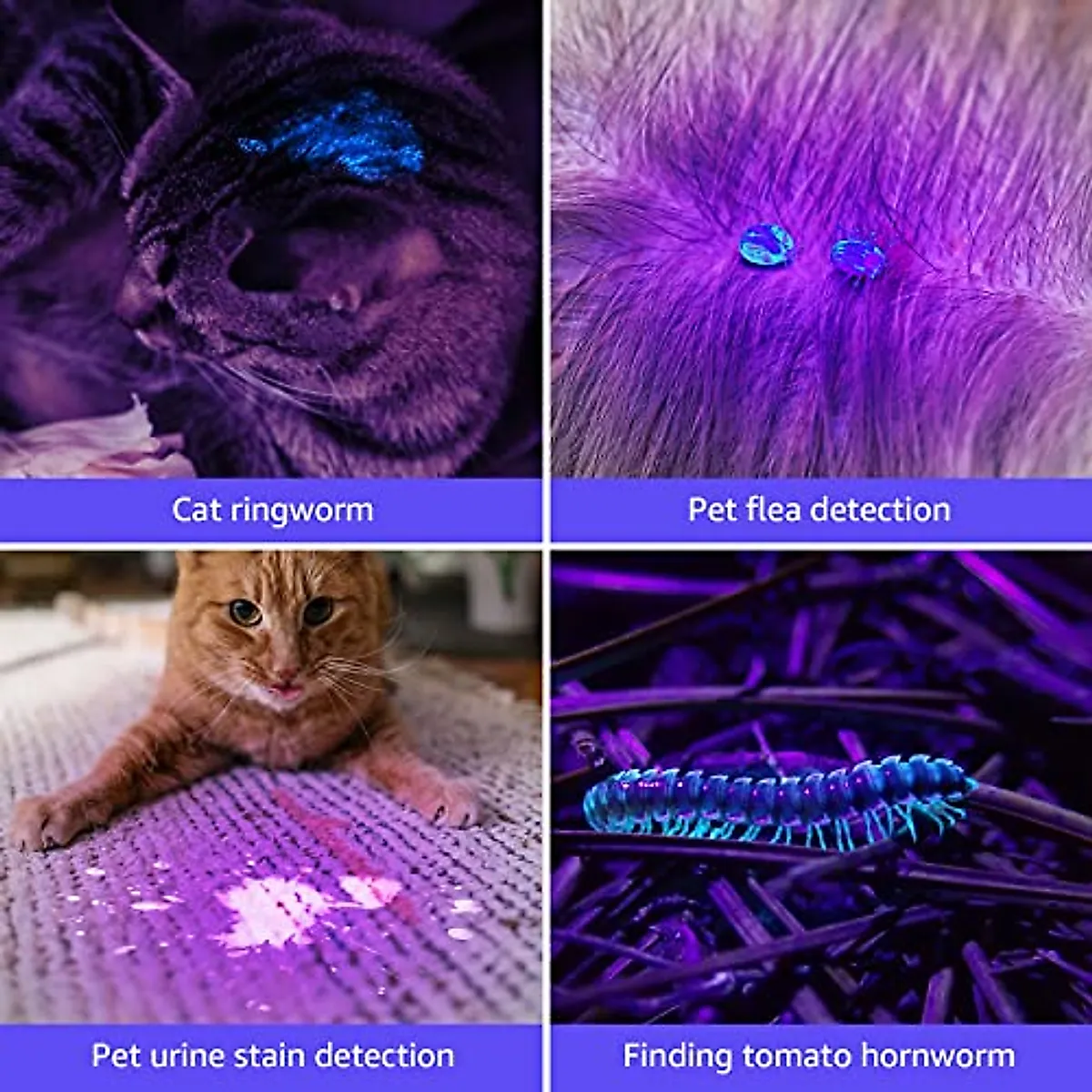 LE Black Light Flashlight, Small UV Lights with 21 LEDs, 395nm, Ultraviolet Light Detector for Invisible Ink Pens, Pet Dog Cat Urine Stain and More, AAA Batteries Included