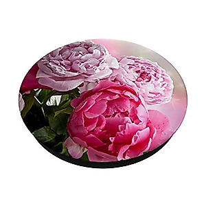 Pink Peony Peonies Flowers Floral Garden Botanical PopSockets Swappable PopGrip