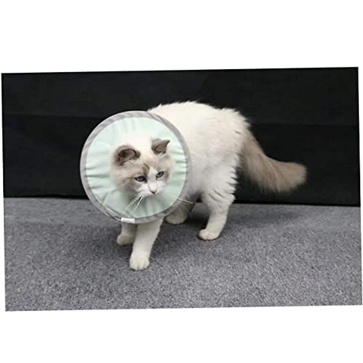 DOITOOL 2 Pcs Pet Protective Collar Pet Healing Cone Pet Pets Lick Cone Cat Recovery Cone -Lick Collar Pet Recovery Cat Collar Elizabethan Pet Collar Headgear Water
