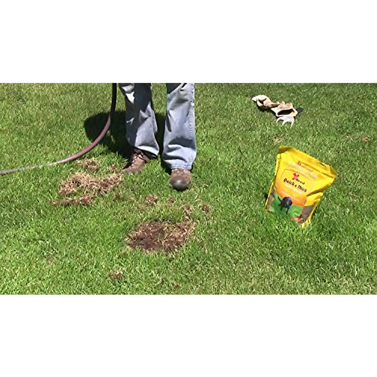 X-Seed Quick and Thick Dog Spot Lawn Repair Mix, 1.75-Pound