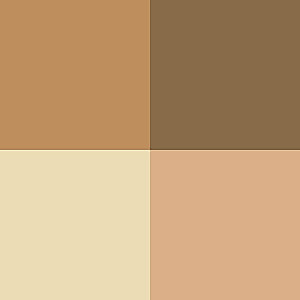 Vallejo - Tanned Skin Color Set | Contains 4 bottles x 18 ml (0.60 fl.oz.)