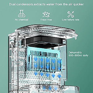 THECOSKY Dehumidifier and Air Purifier Combo,HEPA H13 Filter and Negative Air Ion Function,54oz(1.6L) Water Tank with Drain Hose,24hrs Auto-Off Timer,Idea for Bedroom,Bathroom,Closet,RV