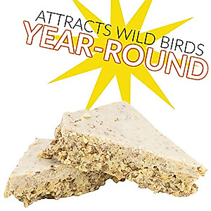 C&S Peanut Treat Suet - 11 oz.