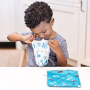 Bumkins Reusable Sandwich and Snack Bags, for Kids Lunch Bags and for Adults, Washable Fabric, Cloth Zip Bag, Dishwasher-Safe, Food-Safe, Safety Tested (4-Pack)