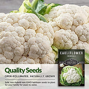 Survival Garden Seeds - Snowball Cauliflower Seed for Planting - Packet with Instructions to Plant and Grow Amazing White Vegetables in Your Home Vegetable Garden - Non-GMO Heirloom Variety