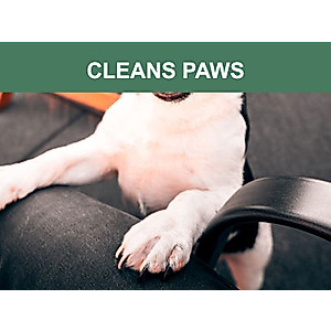 Mr. Peanut's Naturals 100% Plant Based, Unscented Pet Wipes, 160 Count, Larger 8x6" Size