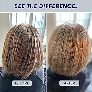 HiBAR Conditioner Bar, All Natural Hair Care, Plastic Free, Made with Eco Friendly Ingredients, Travel Size, Color Safe, Solid Sustainable Bars, Zero Waste (Maintain)