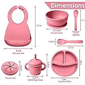 Daily Kitchen Complete Baby Feeding Plate 8-Piece Set