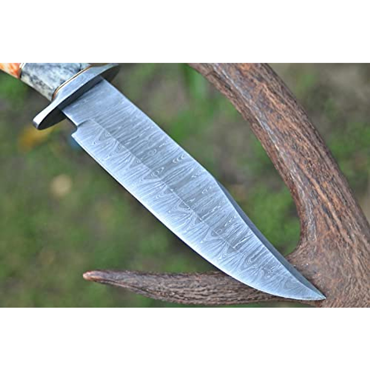 UK UNIQUE SHARP KNIVES BK-3002 Handmade Damascus Steel 12.50 Inches Hunting Knife - Exotic Coloured Bone Handle