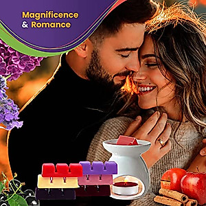 Scented Wax Melts Wax Cubes for Scented Wax Warmer - 100% Soy Wax Melts - 6 Fragrances X 6 Cubes - Lavender, Vanilla, Rose, Apple Cinnamon, Lilac and Black Cherry, Made in USA