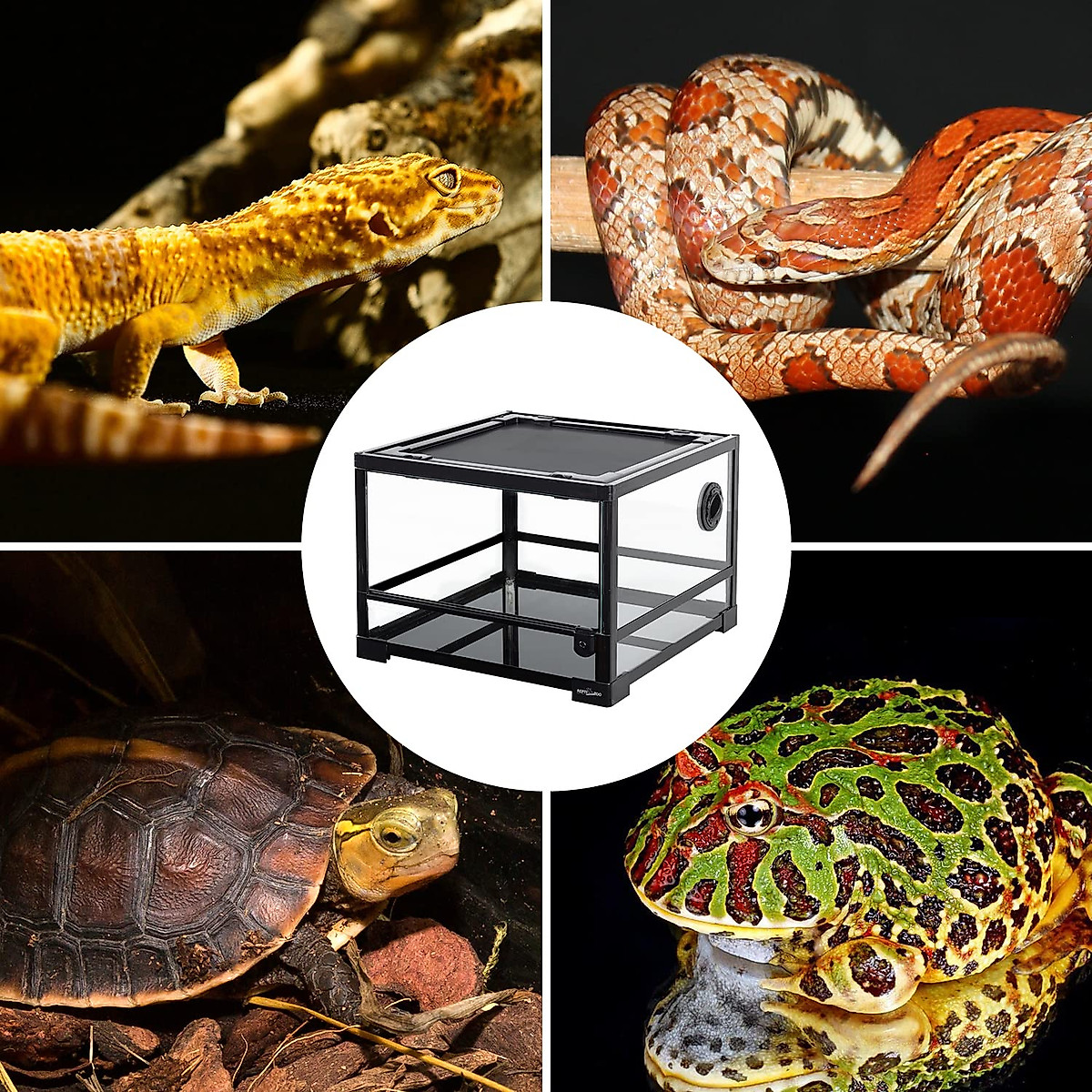 REPTIZOO 18 Gallon Glass Reptile Terrarium 18"x18"x12" Knock Down Reptile Tank with Front Opening Door,Reptile Enclosure for Leopard Gecko, Lizard, Tarantulas, Arboreal Frog