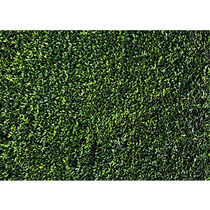HQM 9x6ft 3D Green Leaves Nature Spring Theme Photo Background Wedding Birthday Party Newborn Baby Shower Photography Backdrops Zoo Decor Banner Dessert Cake Table Decor Booth