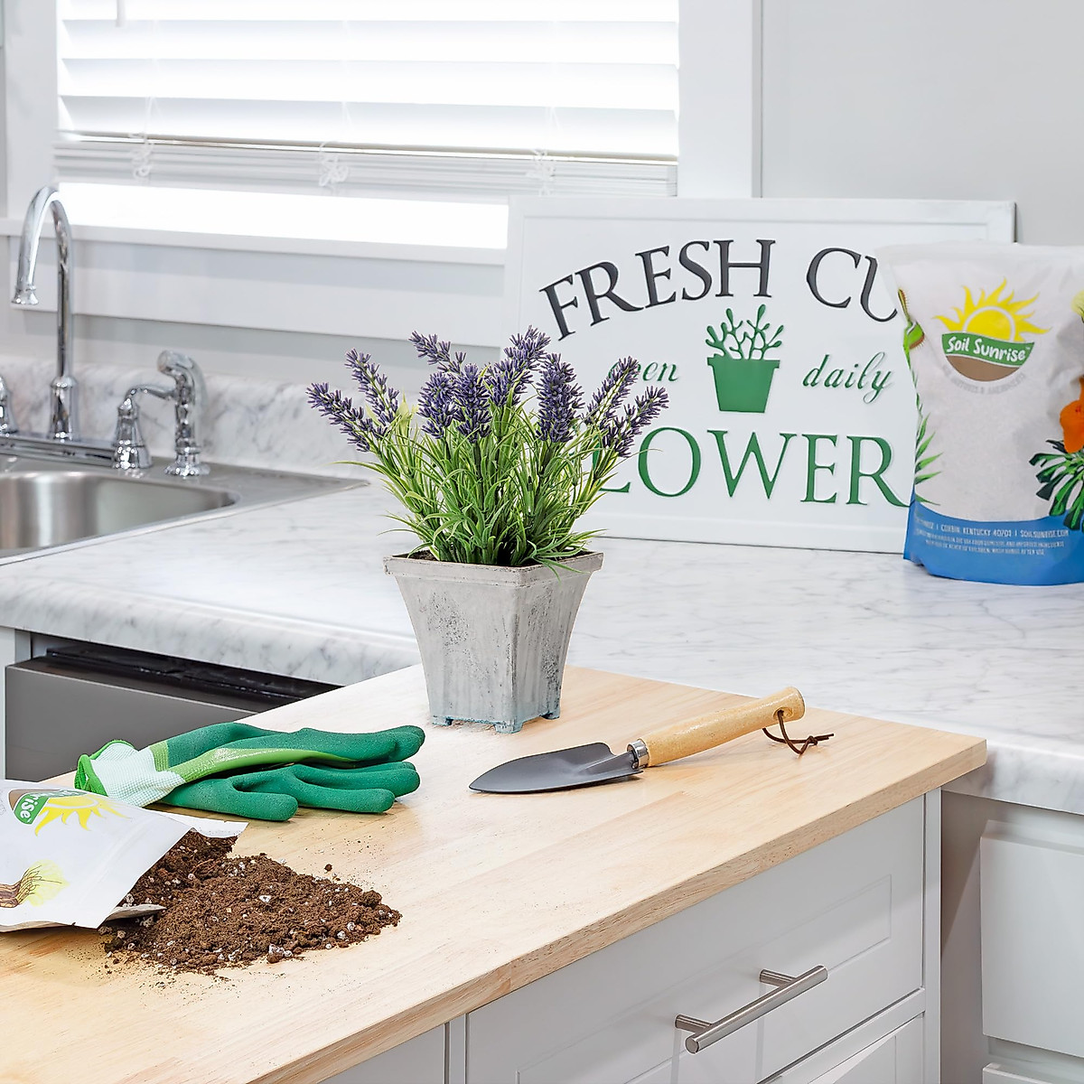 Lavender Potting Soil Mix (4 Quarts), Indoor/Outdoor Container Gardening Blend for Lavender Herb Plants