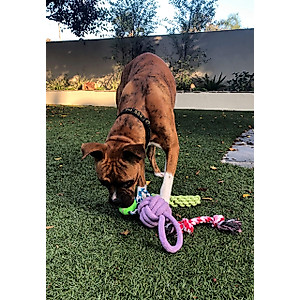 RITE-HITE Rope Dog Toys - for Small, Medium, and Large Size Dogs, Includes Ball, Made for Aggressive chewers and Great for Teething (Large)