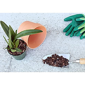 Orchid Potting Mix, Hand Blended All Natural Potting Soil Media for Orchid Plants, Fast Draining Healthy Media for Planting or Orchid Repotting- 8qts