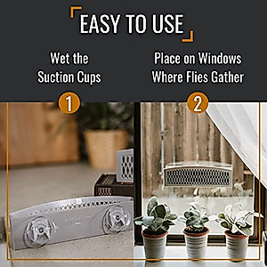Dr. Killigan's The Fly Inn | Window Fly Traps | Sticky Fly Strip | Indoor Insect Trap | Catches and Hides Bugs | Better Than Fly Paper or Ribbon | Get Rid of Flies | (2+4, Gray)