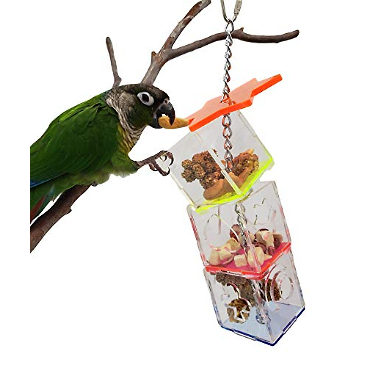 Tropical Chickens Parrot Bird Boredom Buster Forage Box Creative Hanging Treat Foraging Toy Conure Cockatiel for Small Bird Enrichment Transparent Acrylic Food Holder