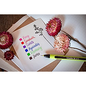 Schneider Xpress Premium Fineliner, 0.8 mm Porous Point, Light Green Barrel, Black Ink, Box of 10 Pens (190001)