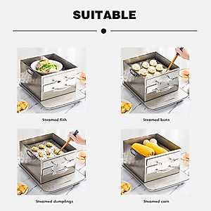 Rice Noodle Roll Steamer Machine - 2 Layers 2 Trays Chinese Cantonese Cheung Fun Changfen Maker for Commercial and Home Use with Extra Stainless Steel Holed Steam Tray and Long Handle