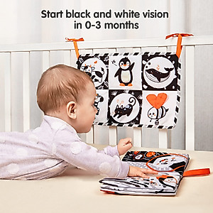 TUMAMA Baby Crib Black White Hanging Toy, Soft Cloth Shape Book, Crib Play Mats High Contrast Double Sides, Floor Mirror Books Letters Numbers Animals for Baby 0 3 6 9 12 Months