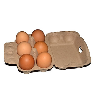Egg Container 20pcs Box Egg Carton Eggs Pulp Packing Box Egg Tray