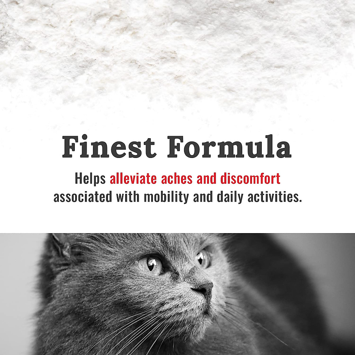 Mojo Joint Supplement for Dogs and Cats, Feline + Canine Food Grade Hip & Joint Supplement with Glucosamine and Chondroitin, Dog & Cat Mobility Supplement (Large, 16 oz)