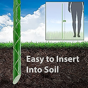 Eco Friendly 4-FT Fiberglass Garden Stakes, Tomato Stakes, Plant Stakes (Pack of 20), 0.31-Inch Dia
