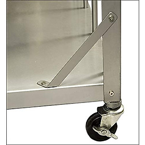 Creative Mark The Original Space Rover - for Storing & Organizing Canvases, Panels, Artwork, Framed & Unframed Art, Boards, Pads, Large Portfolio Cases, Steel Construction