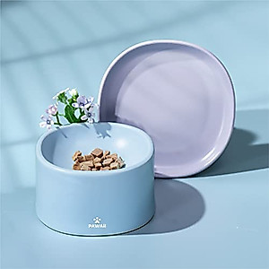 Pawaii Ceramic Cat Bowl, Combined Type Elevated Cat Bowl, Whisker Fatigue Cat Bowl, Dishwasher and Microwave Safe, One Elevated Cat Bowl and One Dish