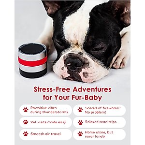 RelaxoPet Pro Dog Relaxation System - Calming for Dogs Relaxation Device with Noise Motion, LED Indicator, Pro Timer - Portable Sound Machine for Dogs for Thunderstorms, Fireworks, & Travelling