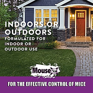 EcoClear Products 620200-6D MouseX All-Natural Poison Free Humane for Rats and Mice, 8 oz. Bag