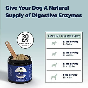 Four Leaf Rover Digest - Digestive Enzymes with Probiotics for Dogs - 15 to 45 Day Supply, Depending on Dog’s Weight - Daily Gut and Immune Support - Vet Formulated - Easy to Mix